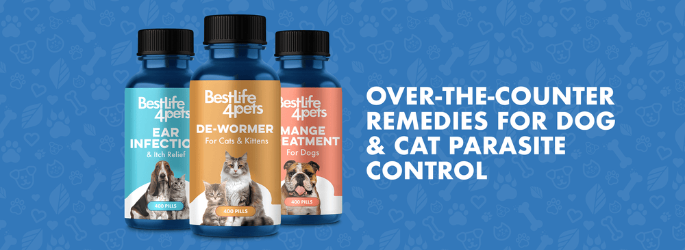 Over -the-counter Remedies for Dog & Cat Parasite Control