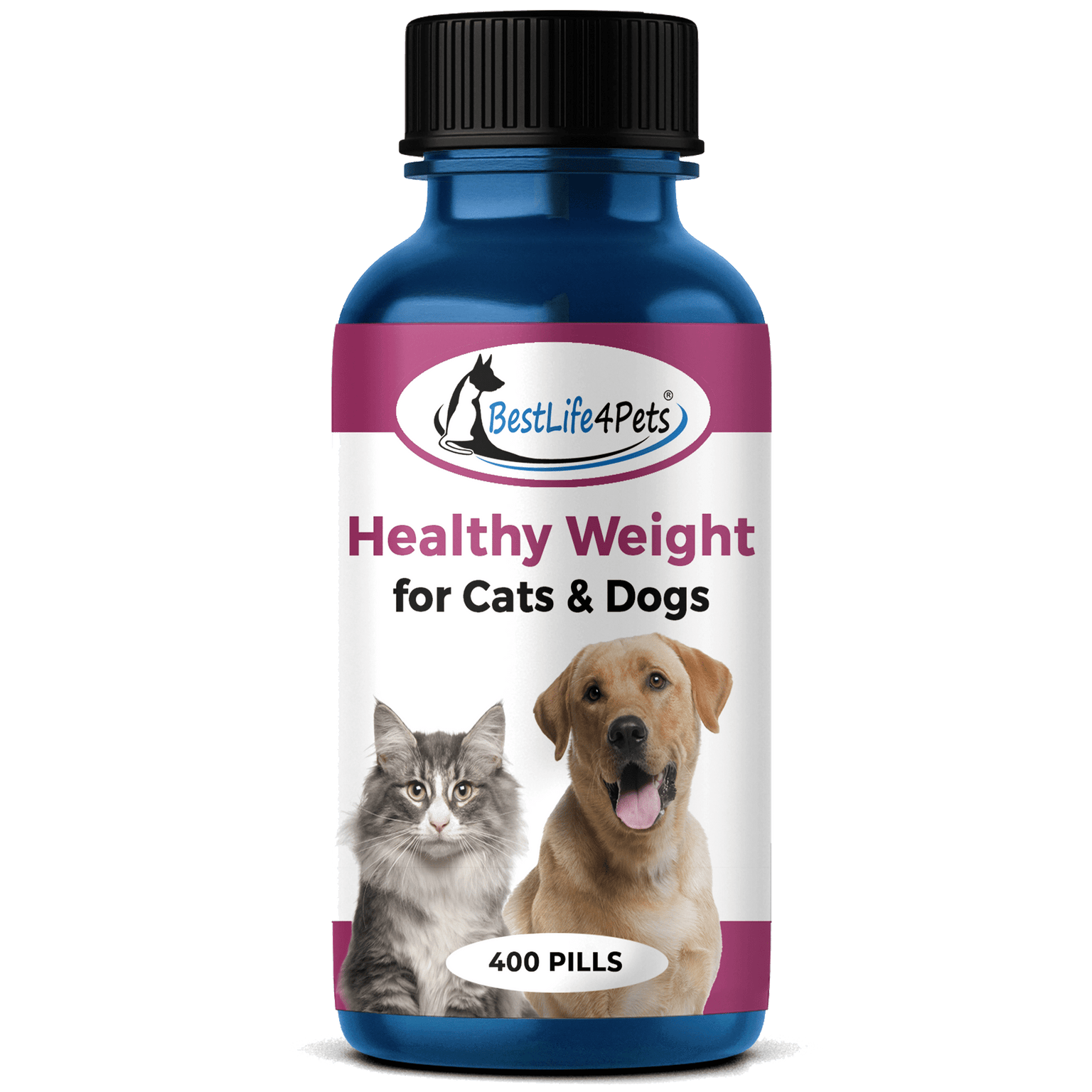 Natural Supplements for Cats & Kittens // BestLife4Pets
