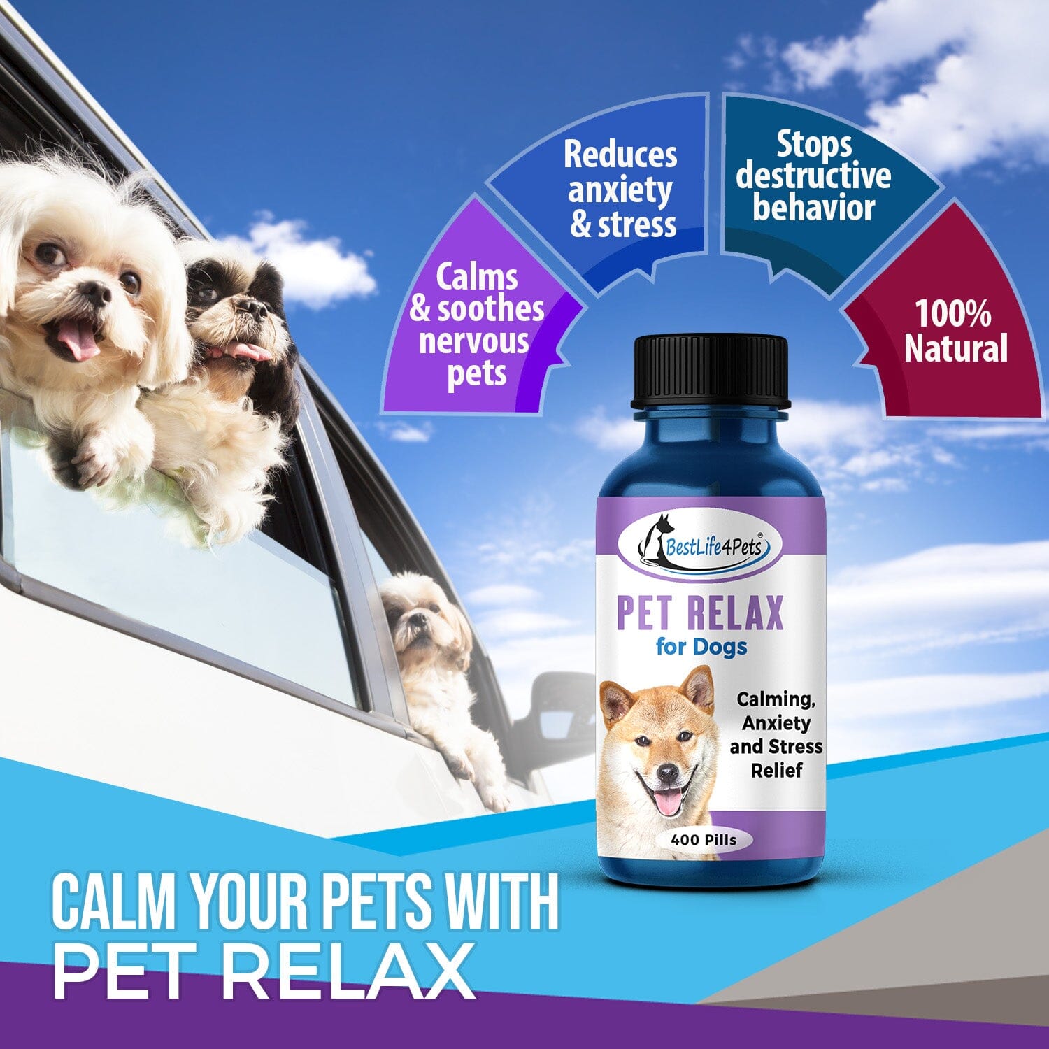 Pet Relax Dog Anxiety & Calming Remedy // BestLife4Pets