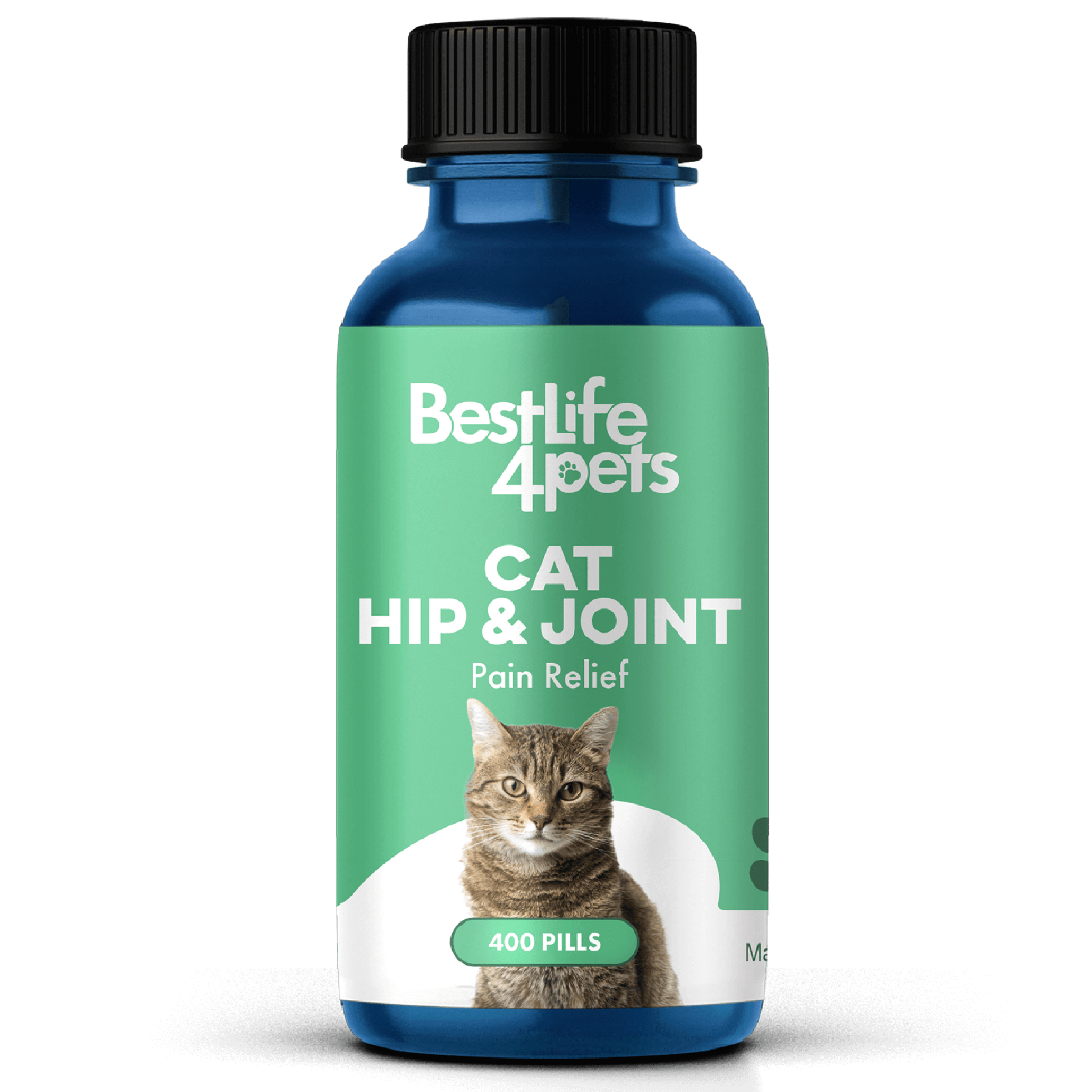 Natural Supplements for Cats & Kittens // BestLife4Pets