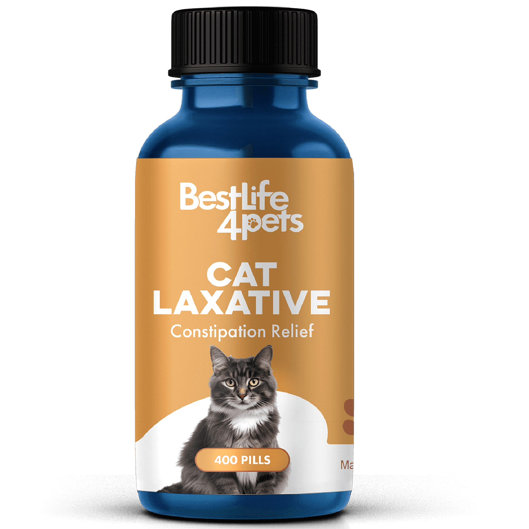 Natural Supplements for Cats & Kittens // BestLife4Pets