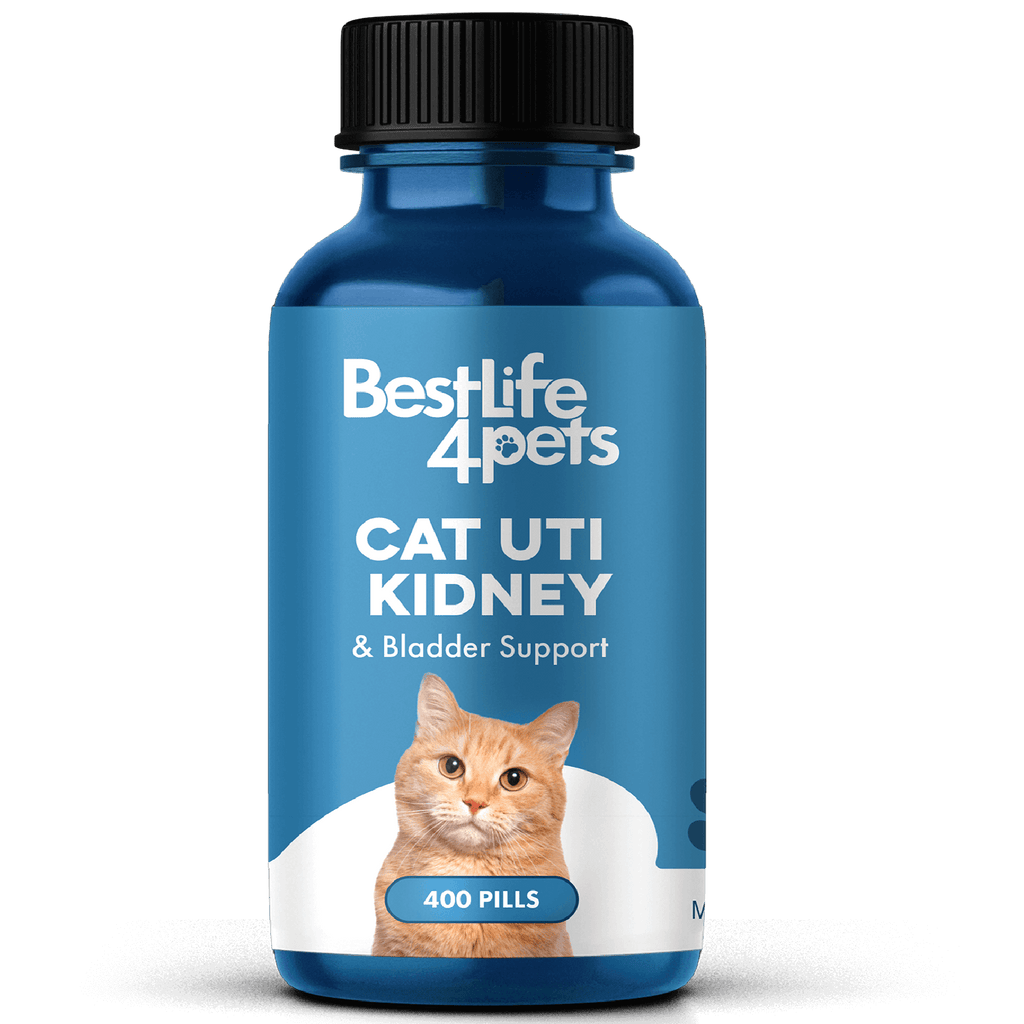 Natural Supplements for Cats & Kittens // BestLife4Pets