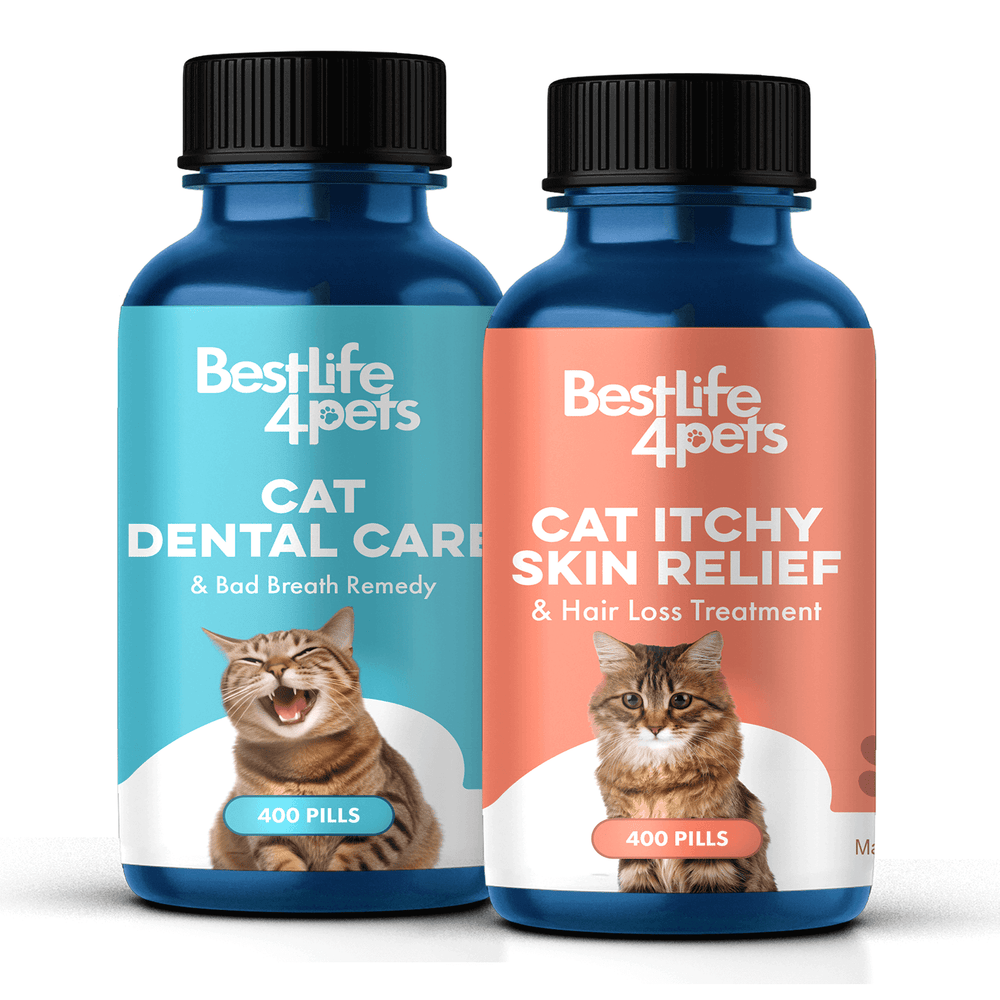 Cat Miliary Dermatitis Relief Bundle (Allergic Skin Reactions, Scabs,