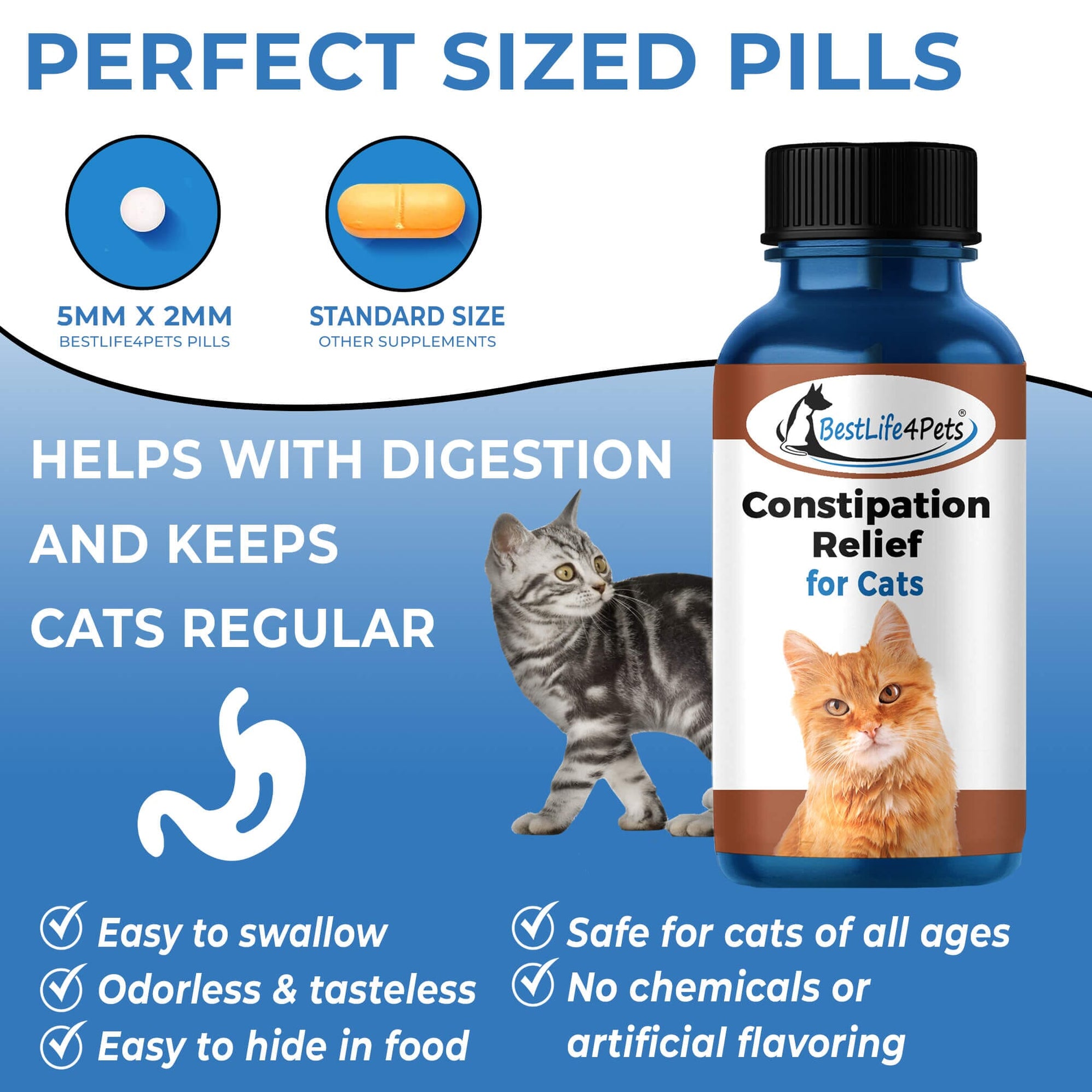 Natural Cat Laxative & Constipation Treatment // BestLife4Pets