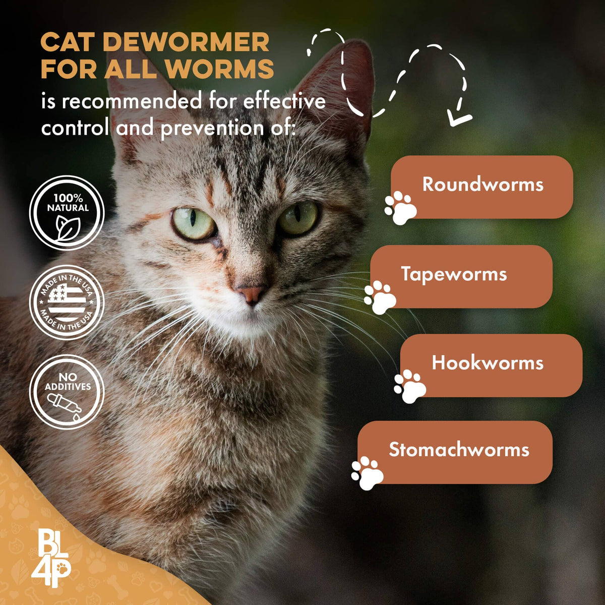 Broad Spectrum Cat Dewormer Remedy