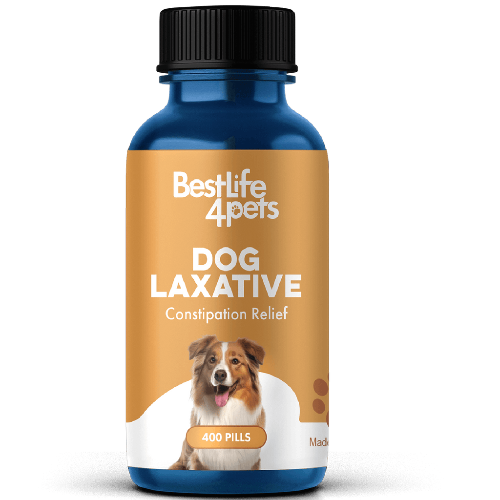 How Do Vets Treat Constipation In Dogs