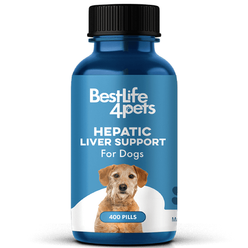 Natural Supplements for Puppies and Small Dog Breeds // BestLife4Pets