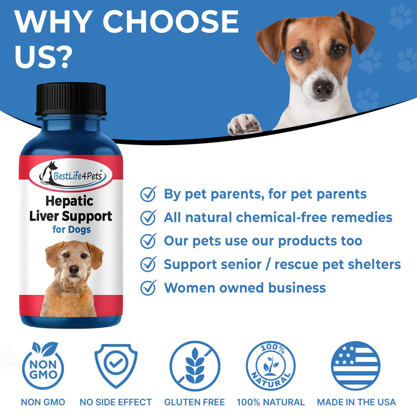 Natural Liver Support Supplement for Dogs // BestLife4Pets