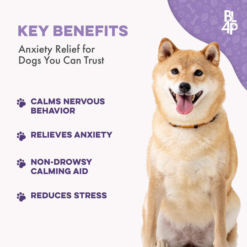 Dog Pet Relax Anxiety & Calming Remedy