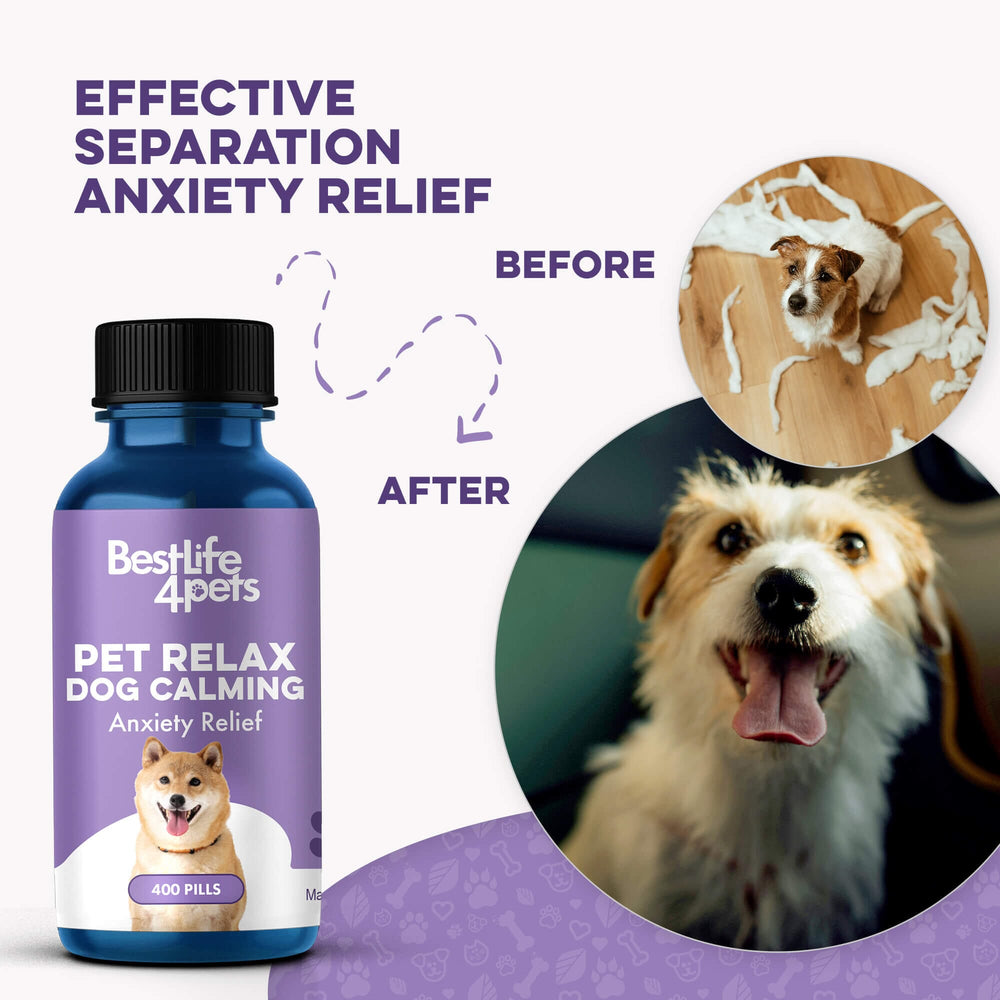 Dog Pet Relax Anxiety & Calming Remedy // BestLife4Pets