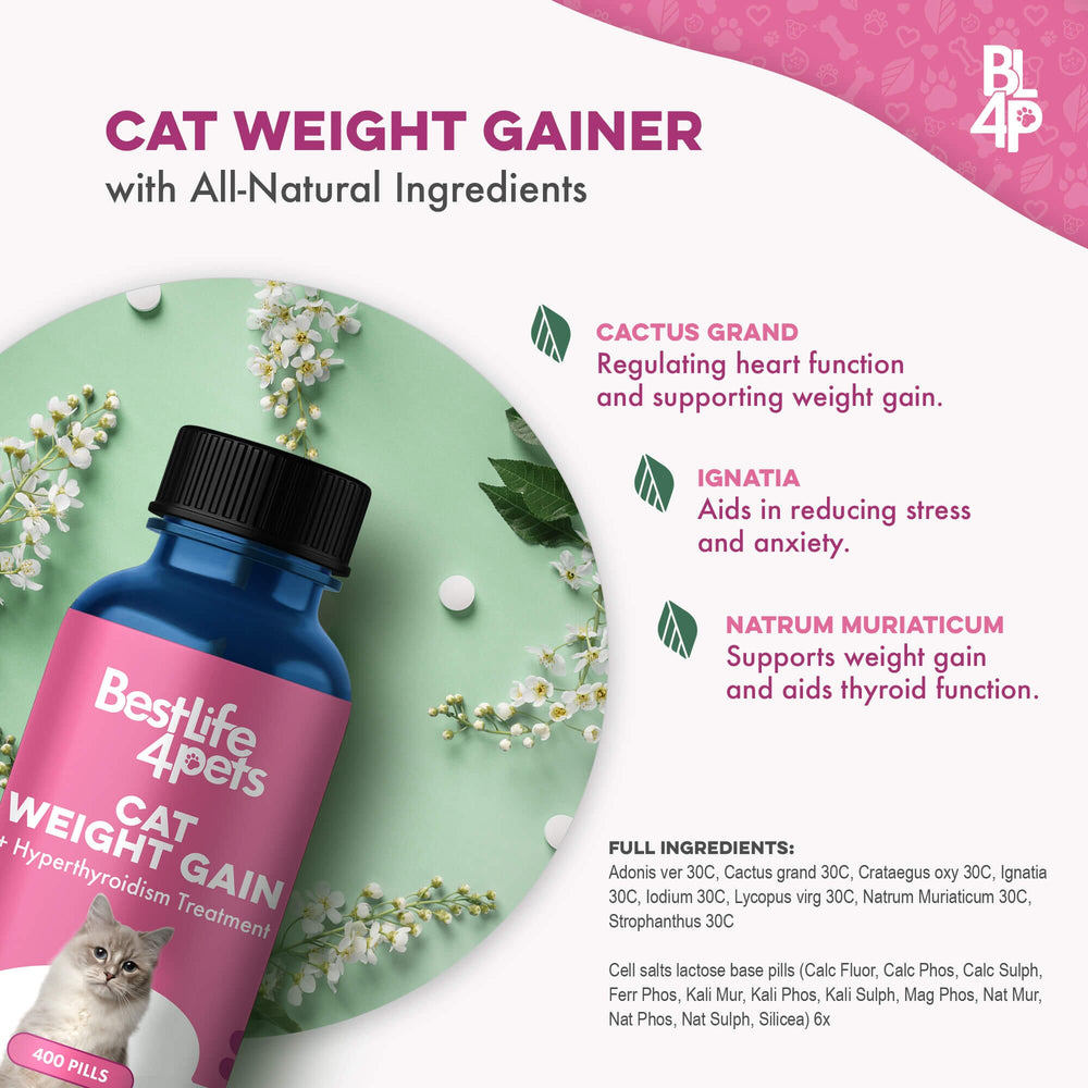 Cat Supplements for Weight Gain & Thyroid | Natural Relief by BestLife4Pets