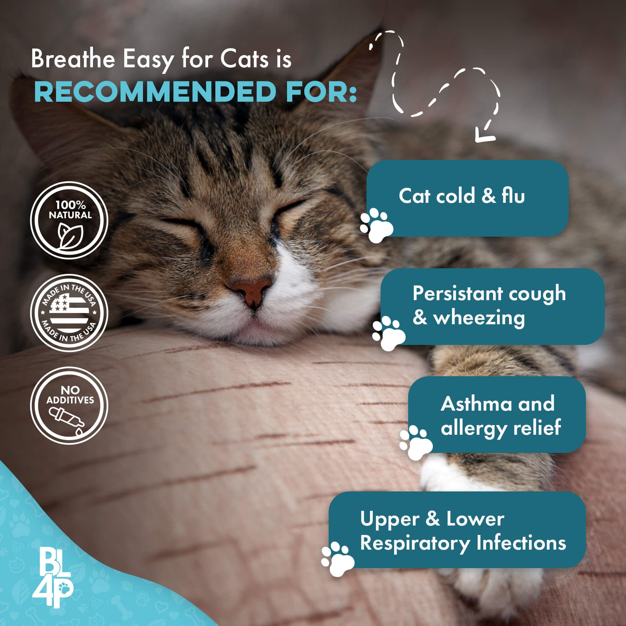 Breathe Easy for Cats - Flu, Cough & Asthma Remedy // BestLife4Pets