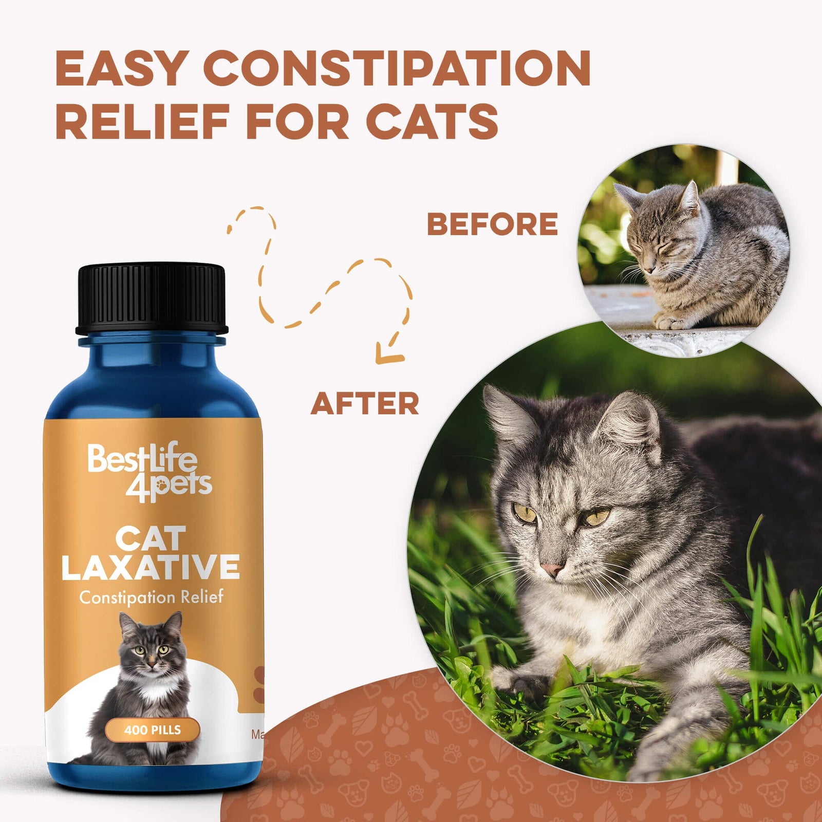 Cat Constipation Relief – Cat Laxative Support | BestLife4Pets