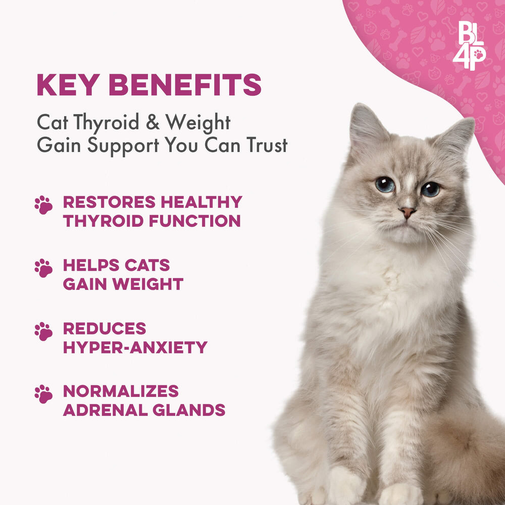 2-Pack Cat Weight Gain & Hyperthyroid Relief Bundle | Restore Appetite
