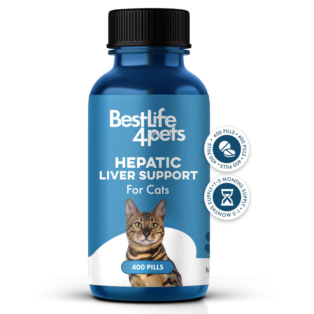 Natural Liver Support Supplement for Cats