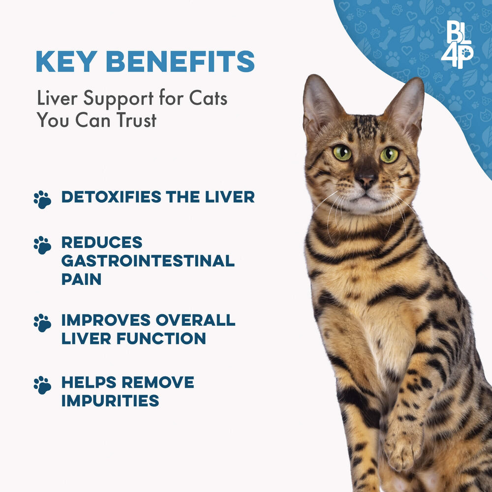 Natural Liver Support Supplement for Cats